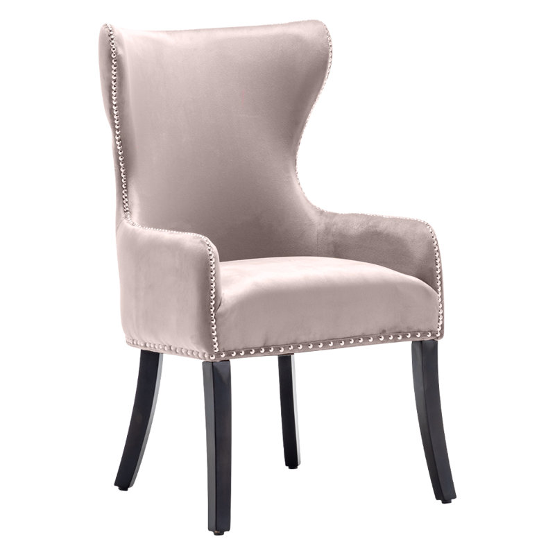 Rosdorf Park Latty Velvet Wing Back Side Chair | Wayfair.co.uk
