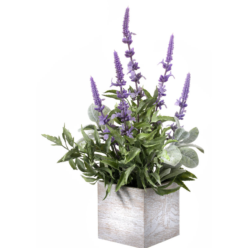 Laurel Foundry Modern Farmhouse Lavender Floral Arrangement in Pot ...