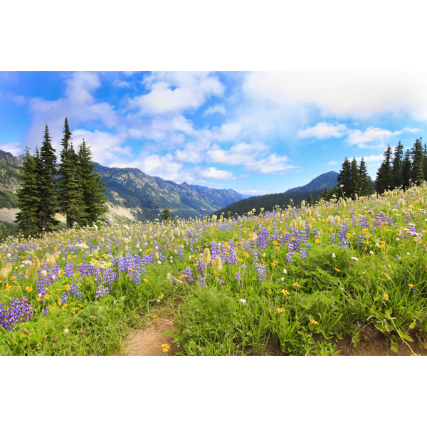 Millwood Pines Picturesque Landscape - Wrapped Canvas Photograph | Wayfair