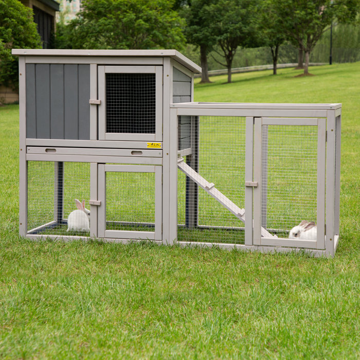 Tucker Murphy Pet™ Faron Weather Resistant Rabbit Hutch With Ramp ...