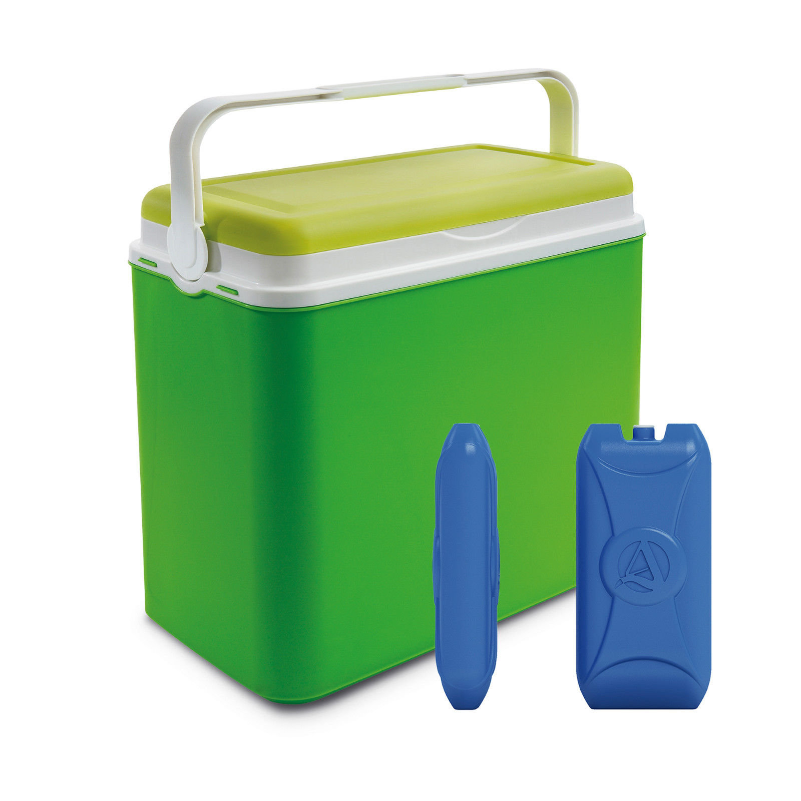 Wayfair Basics™ 24 L Handheld Cooler & Reviews | Wayfair.co.uk