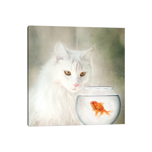 Latitude Run Lola Fish Bowl by - Wrapped Canvas Photograph | Wayfair.co.uk