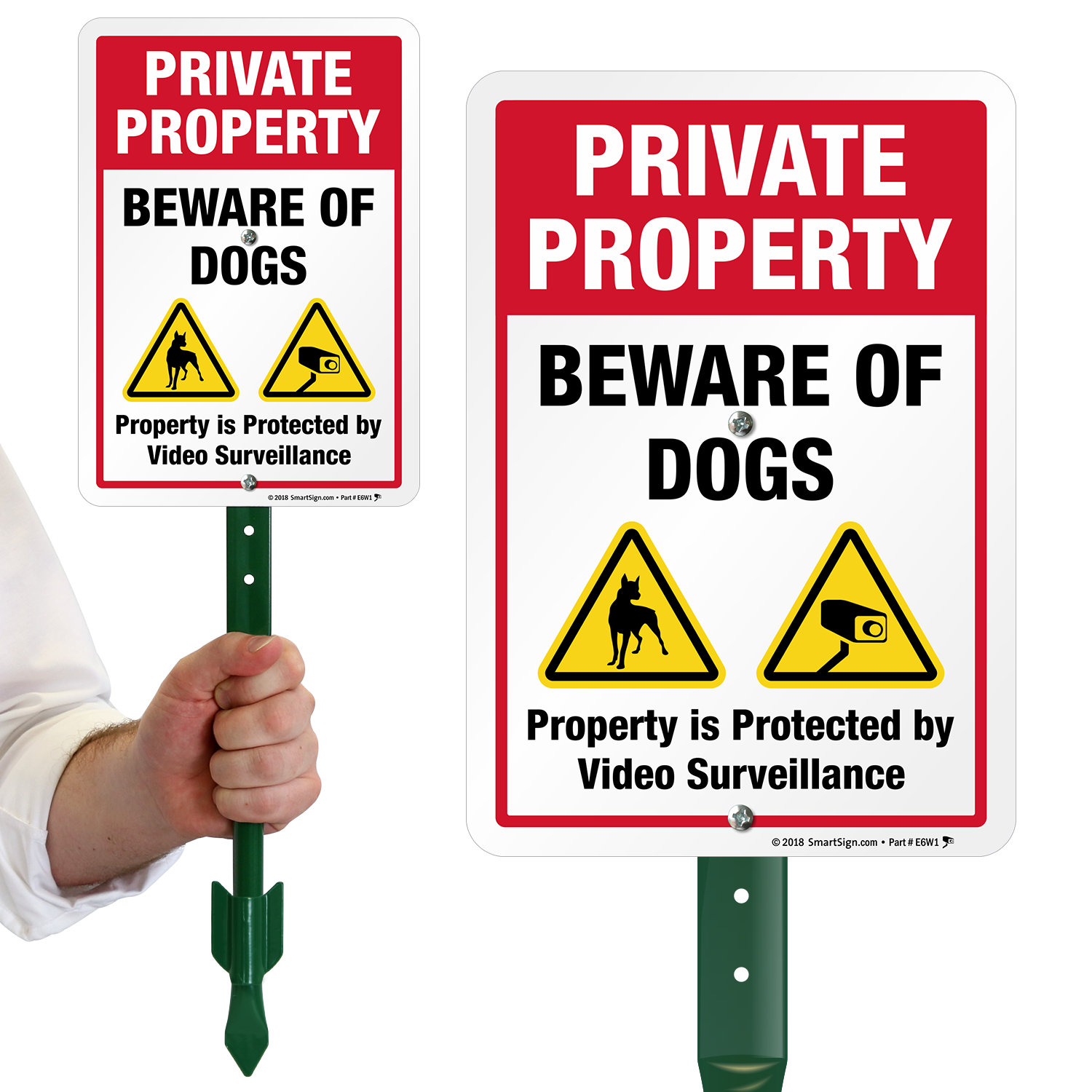 Can Dogs Own Property