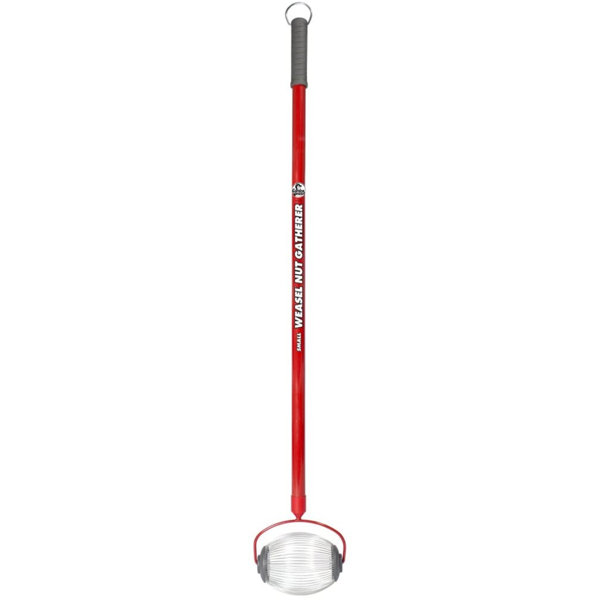 Garden Weasel 95334 Nut Gatherer Tool For Small Objects And Nuts, Small ...