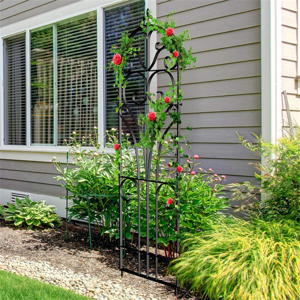 Outside Wall Trellis 180cm | Wayfair.co.uk