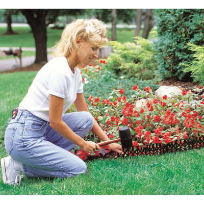 EMSCO Group Choppers Elegant Lawn Edging & Reviews | Wayfair