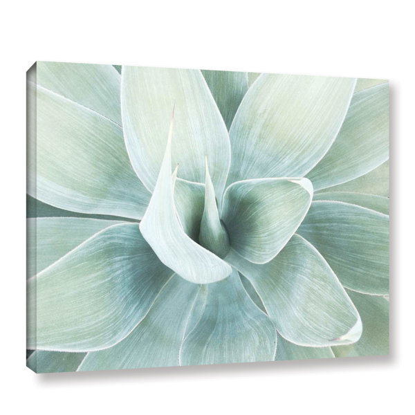 Agave-light | Wayfair