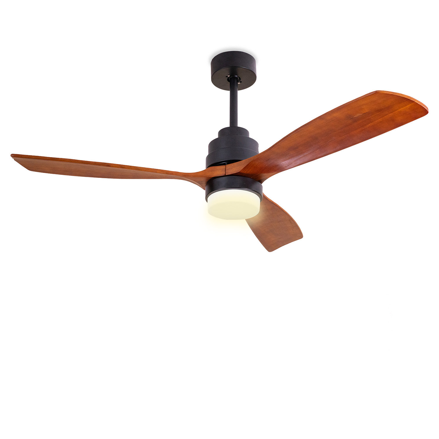 Ivy Bronx Carolee Ceiling Fan with LED Lights | Wayfair