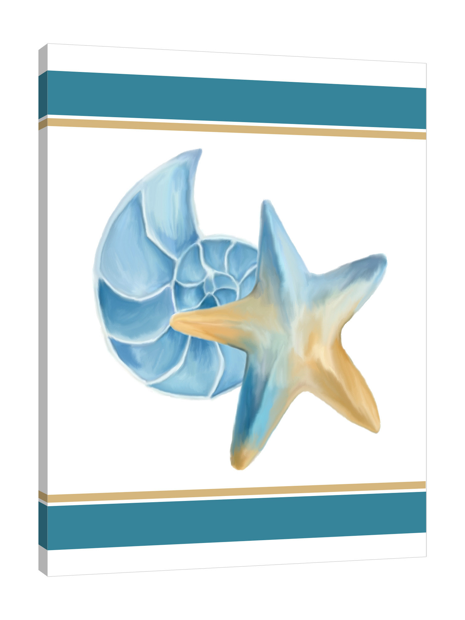 JaxsonRea Seashore Shells 2 by Kimberly Allen - Wrapped Canvas Painting ...