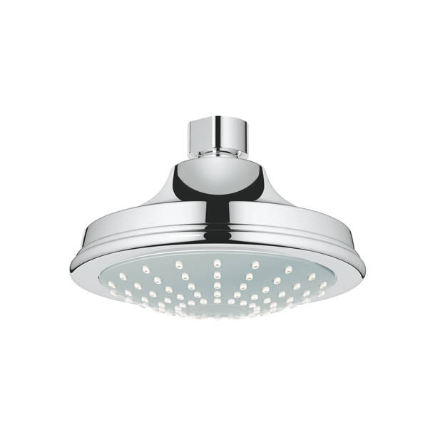 GROHE Euphoria® Multi Function Handheld Shower Head & Reviews | Wayfair