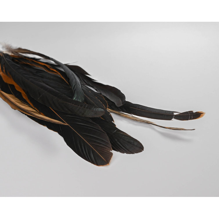 Primrue Rooster Tail Feathers Single Bunch | Wayfair