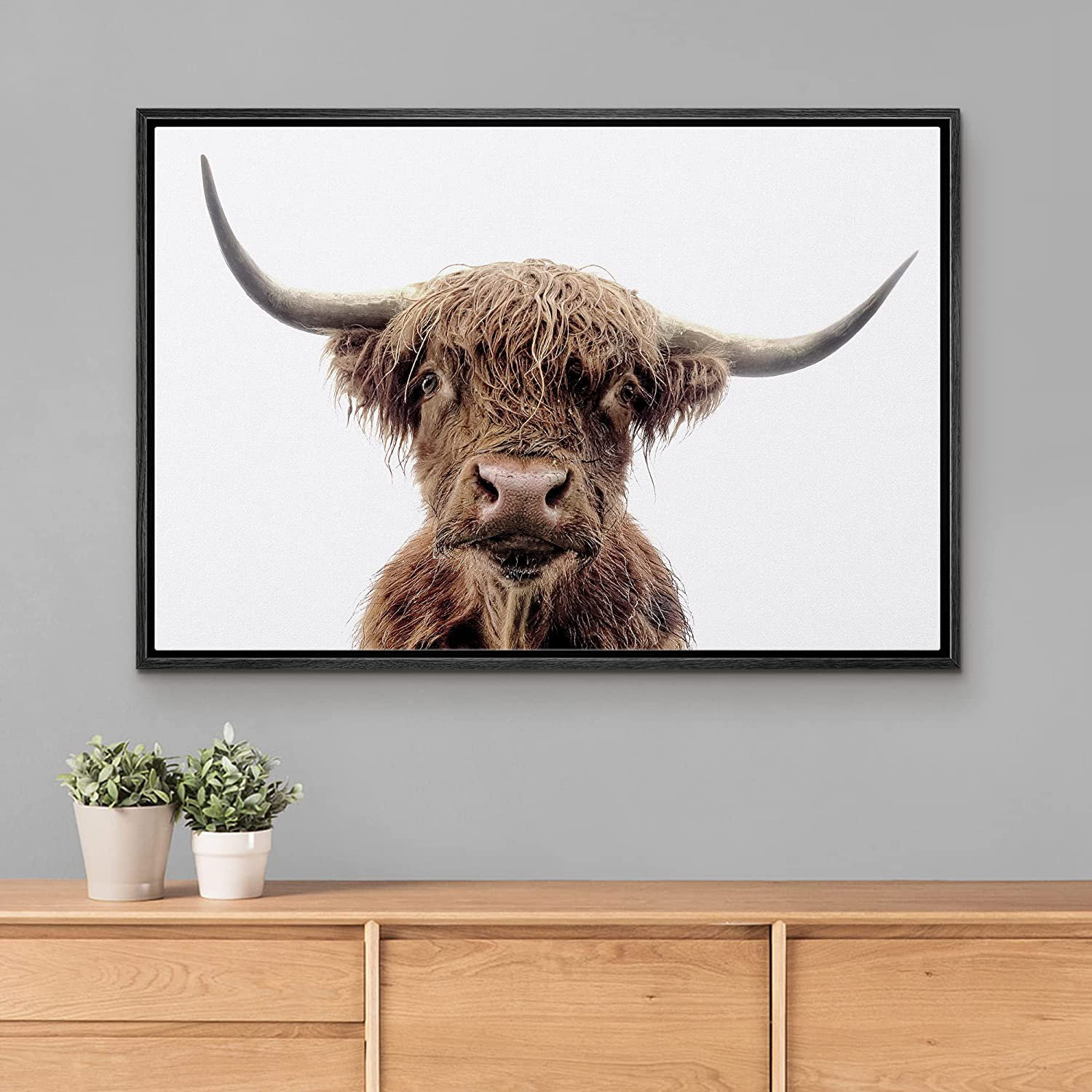 SIGNLEADER Brown Shetland Cow Looks Down - Floater Frame Print on ...