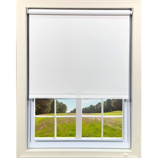 Symple Stuff Blackout Cordless Roller Shade & Reviews | Wayfair