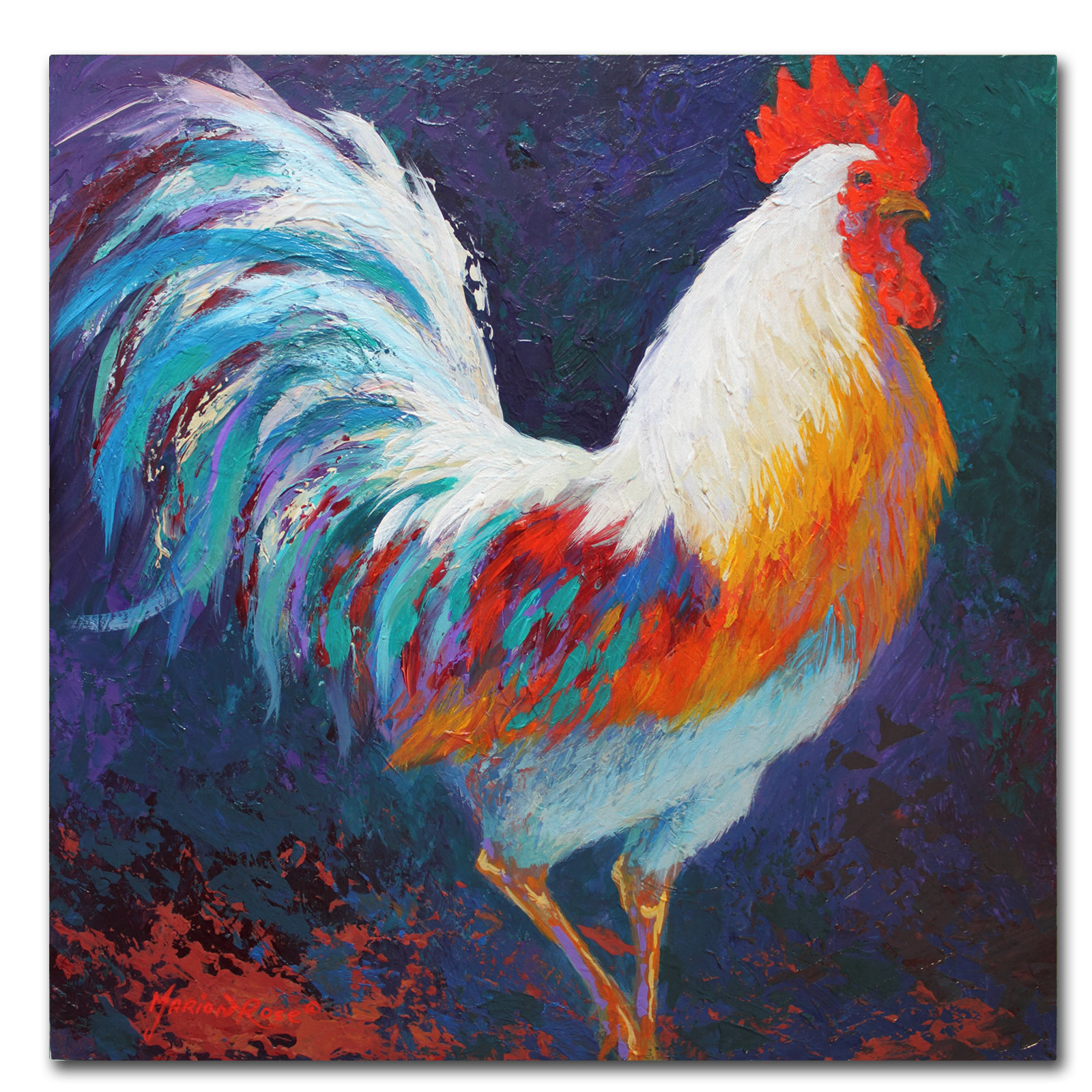 Trademark Art Marion Rose Rooster by Marion Rose - Painting on Canvas ...