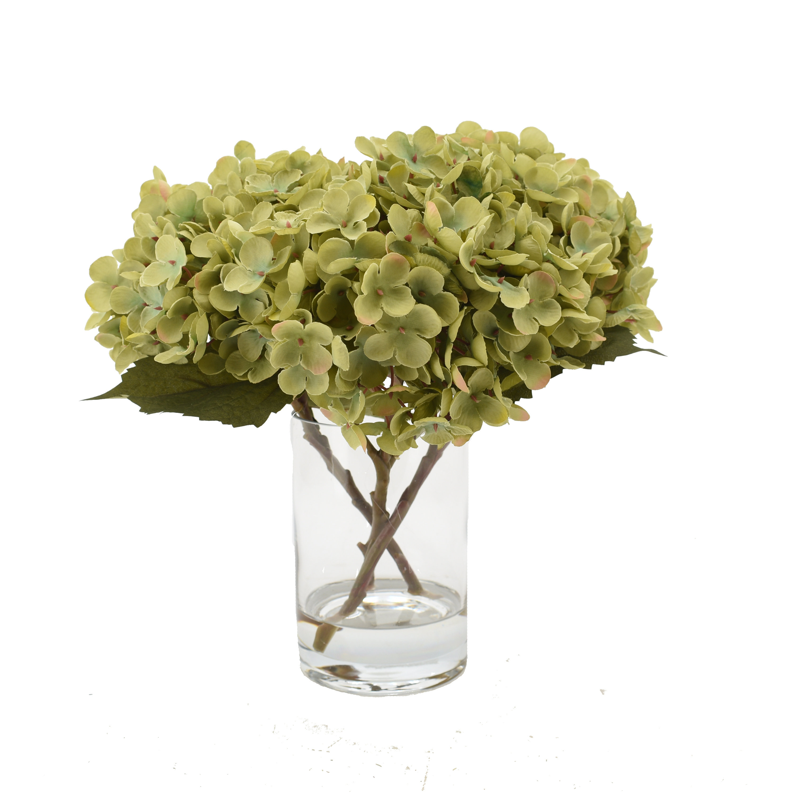 Primrue Hydrangea Floral Arrangement in Glass Vase in , Green | Wayfair