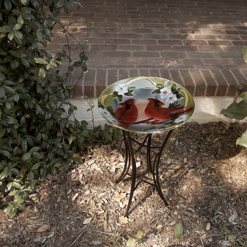 Lark Manor Aliyah-Lilly Birdbath & Reviews | Wayfair