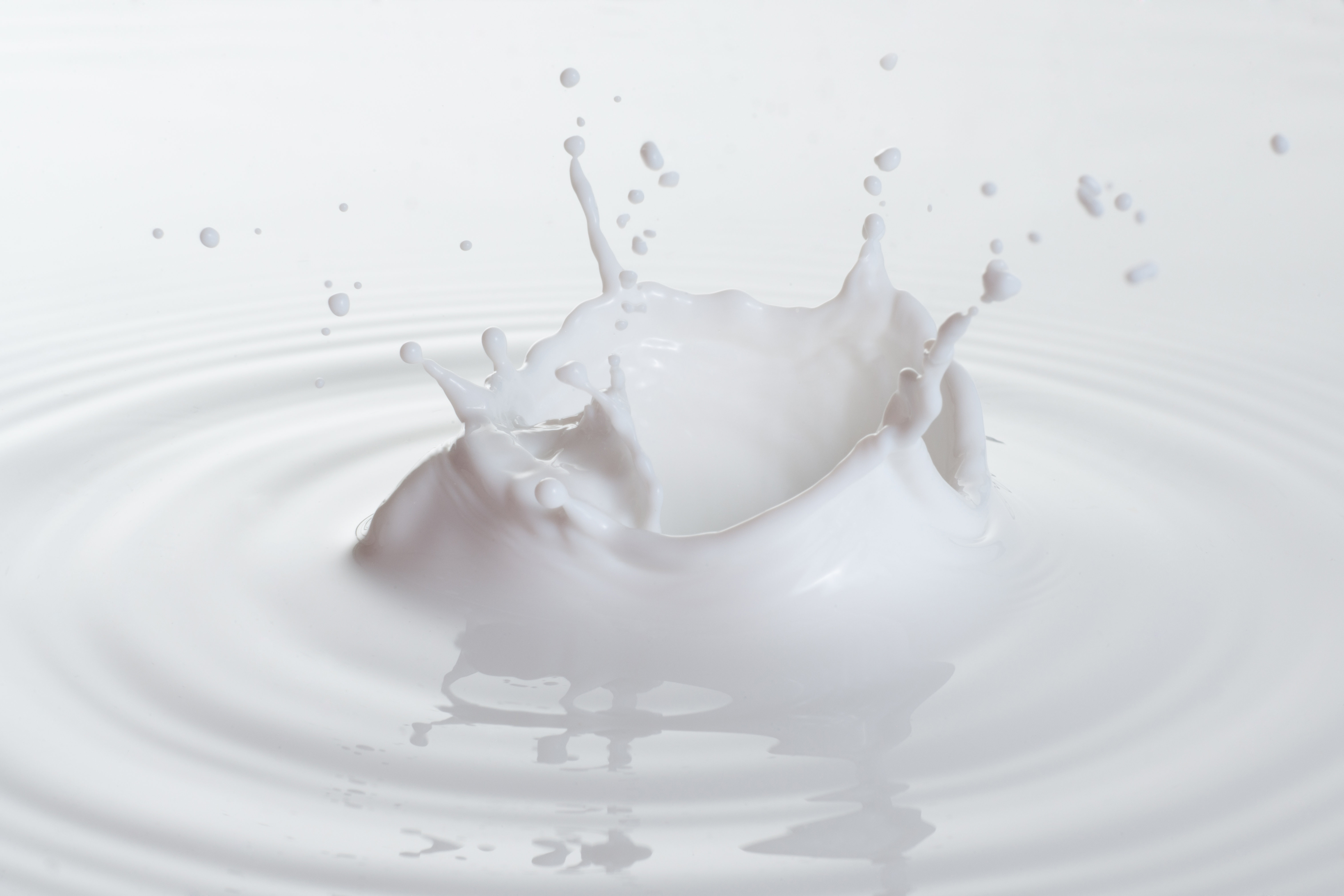 Ebern Designs Splshing Milk - Wrapped Canvas Photograph | Wayfair