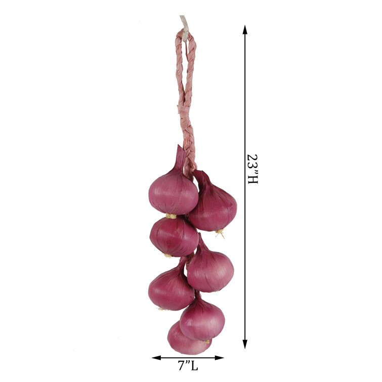 Rosalind Wheeler Cossette Strand of Onions | Wayfair
