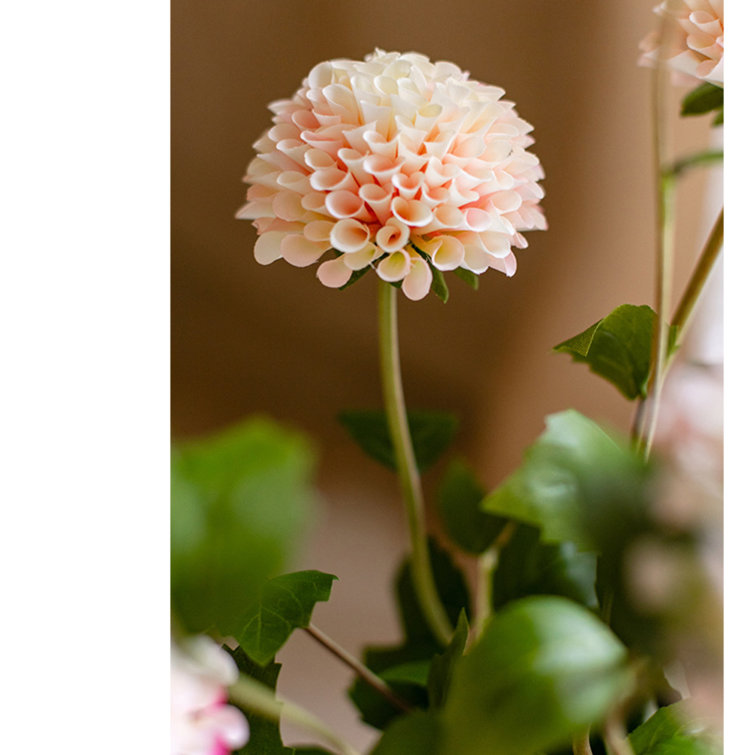 Primrue Dahlia Stem | Wayfair