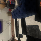 Ivy Bronx Houser Performance Black Rug & Reviews | Wayfair