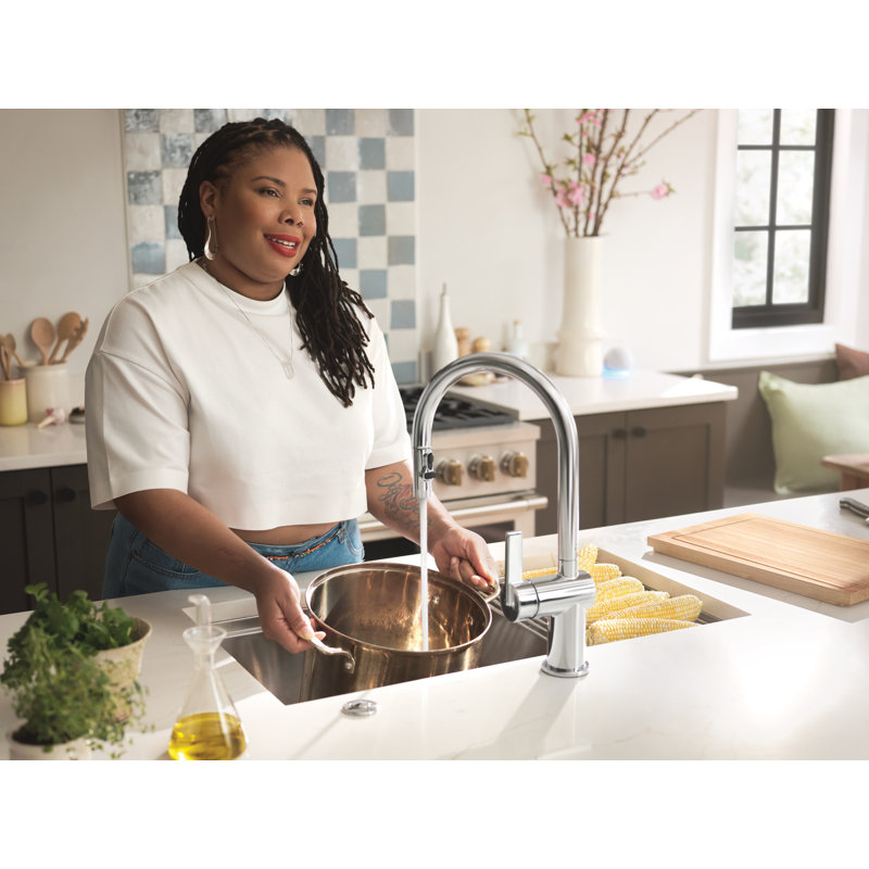 Moen Cia Pull Down Single Handle Kitchen Faucet & Reviews | Wayfair