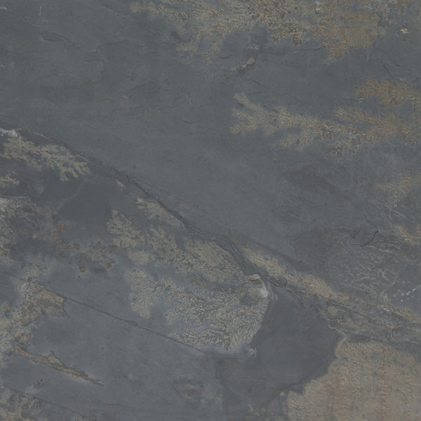 MSI Rustic Gold 12" x 12" Gauged Slate Field Tile & Reviews | Wayfair