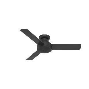 Wayfair | Matte Black Indoor Ceiling Fans You'll Love in 2023