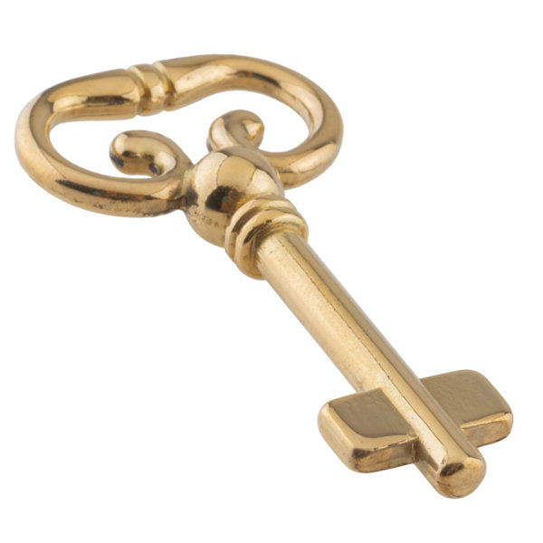 UNIQANTIQ HARDWARE SUPPLY Blank Skeleton Key | Wayfair
