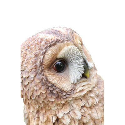 Hi-Line Gift Ltd. Owl on Stump Statue & Reviews | Wayfair