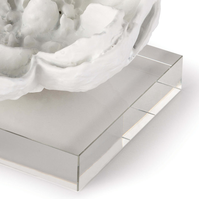 ReginaAndrew Magnolia Object & Reviews | Perigold