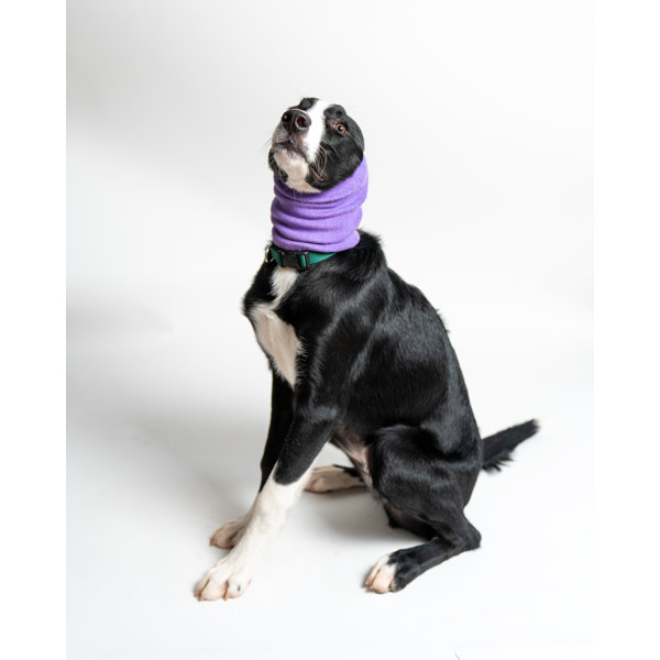 Tucker Murphy Pet™ For Dogs-anxiety, Grooming, Ear Muffs, Dog Ear ...