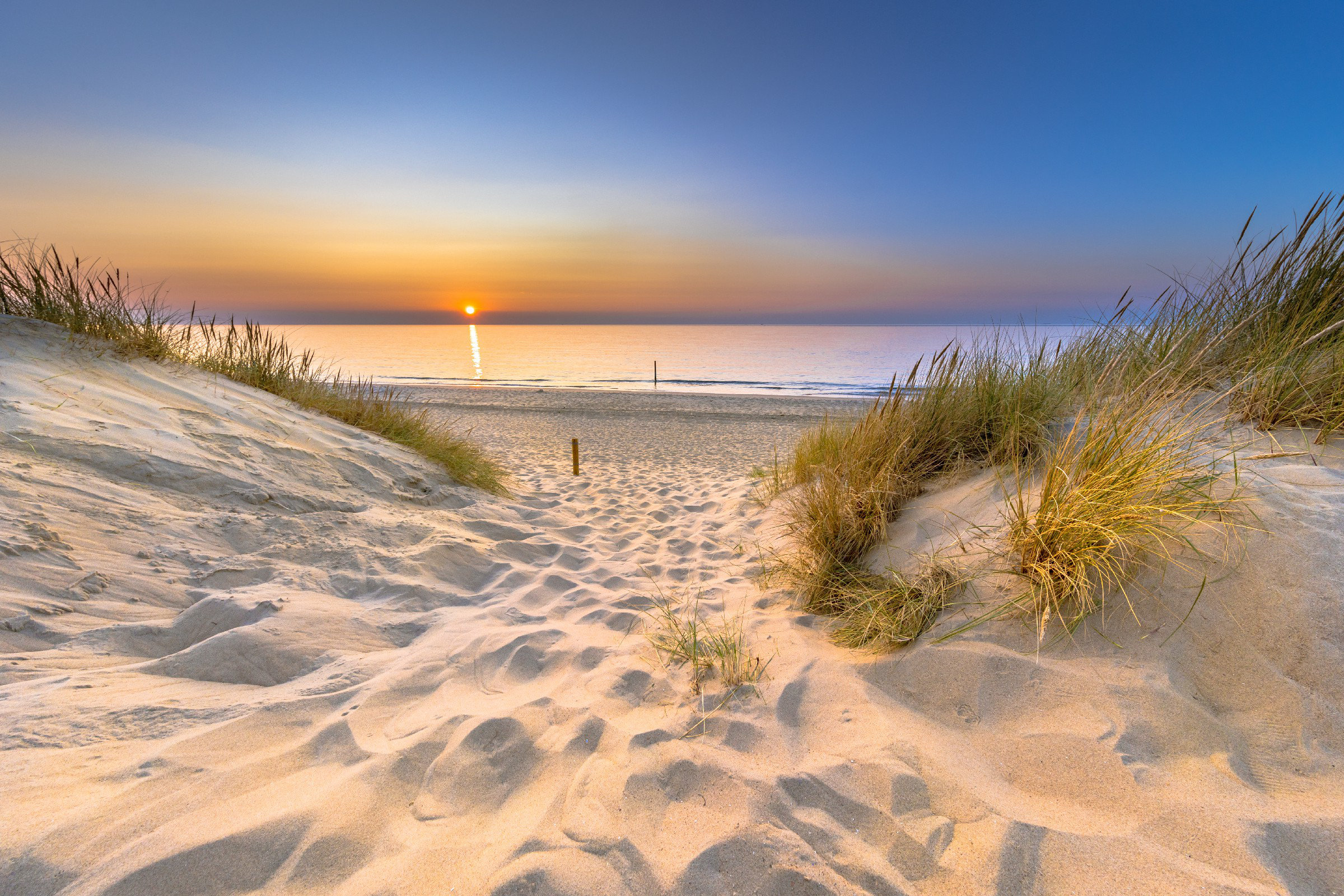 Highland Dunes Ocean Dune In Zeeland by Creativenature_Nl - Wrapped Canvas Photograph | Wayfair