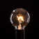 Arlmont & Co. Blairsden 1200'' Outdoor 100 - Bulb Globe String Light ...