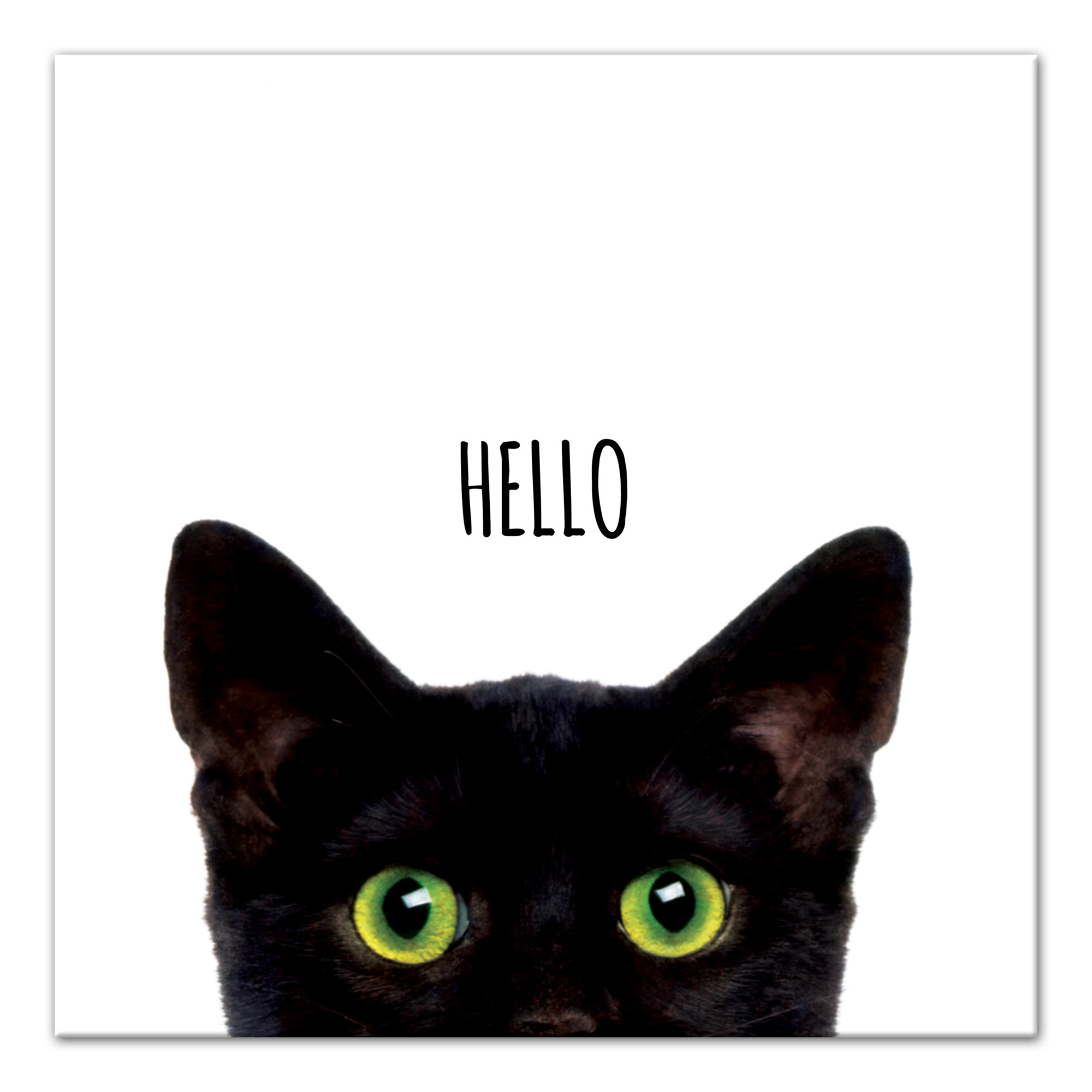 Bless international Curious Hello Black Cat - Wrapped Canvas Graphic ...