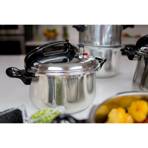 Bene Casa Stainless Steel Pressure Cooker & Reviews | Wayfair