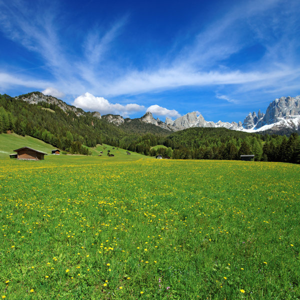 Alpen Home Summer In The Dolomites by Mammuth - Wrapped Canvas ...