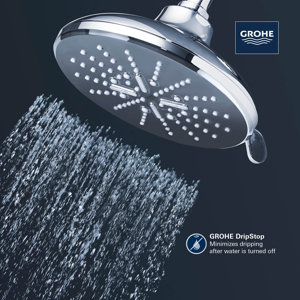 GROHE Massage Rain Shower Head & Reviews | Wayfair