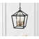 Gracie Oaks Henjes 4 - Light Lantern Geometric Pendant | Wayfair