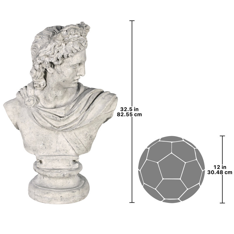 Design Toscano Apollo Belvedere Bust Statue & Reviews | Wayfair
