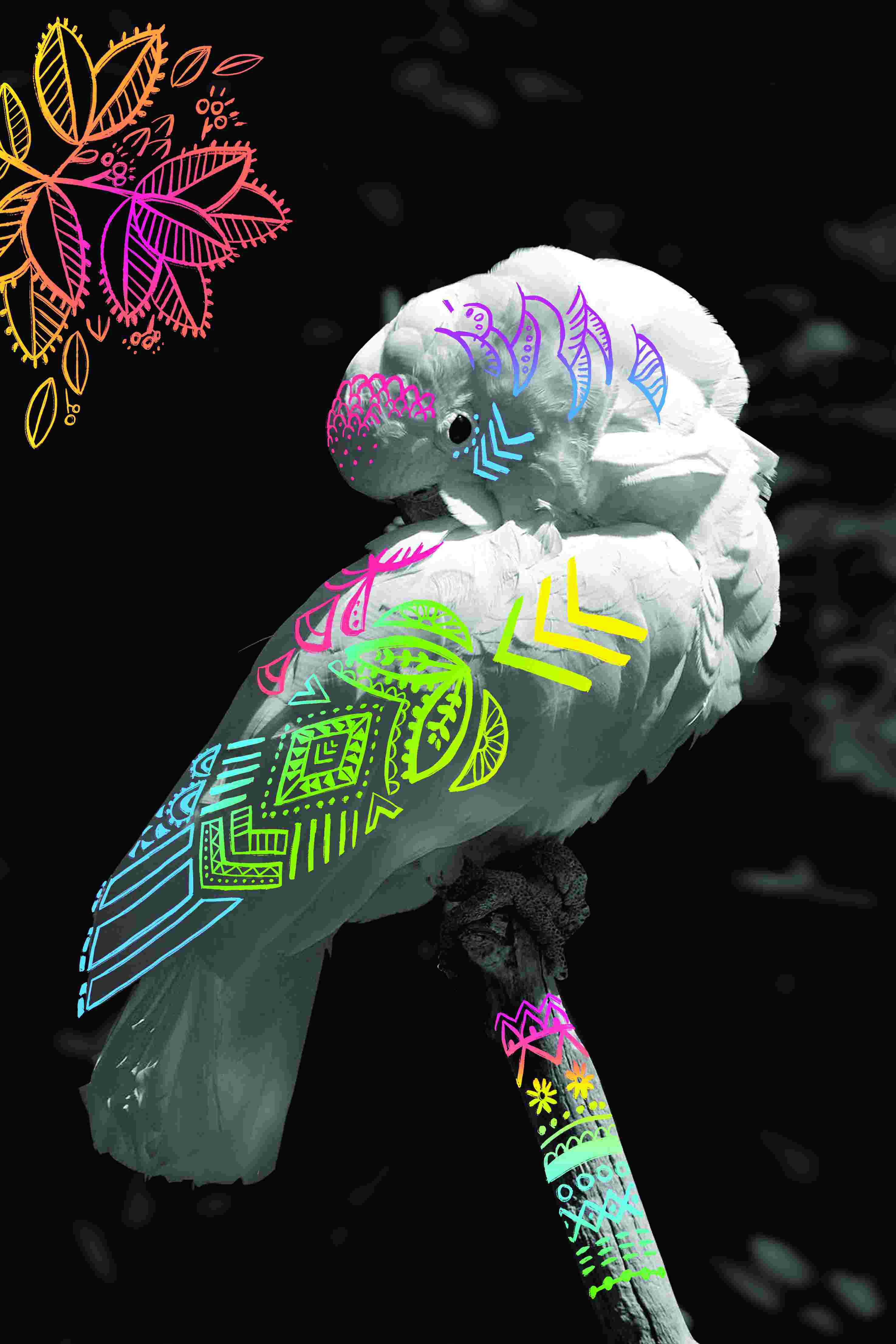 Bungalow Rose Draw Bird Neon Draw - Wrapped Canvas Print | Wayfair