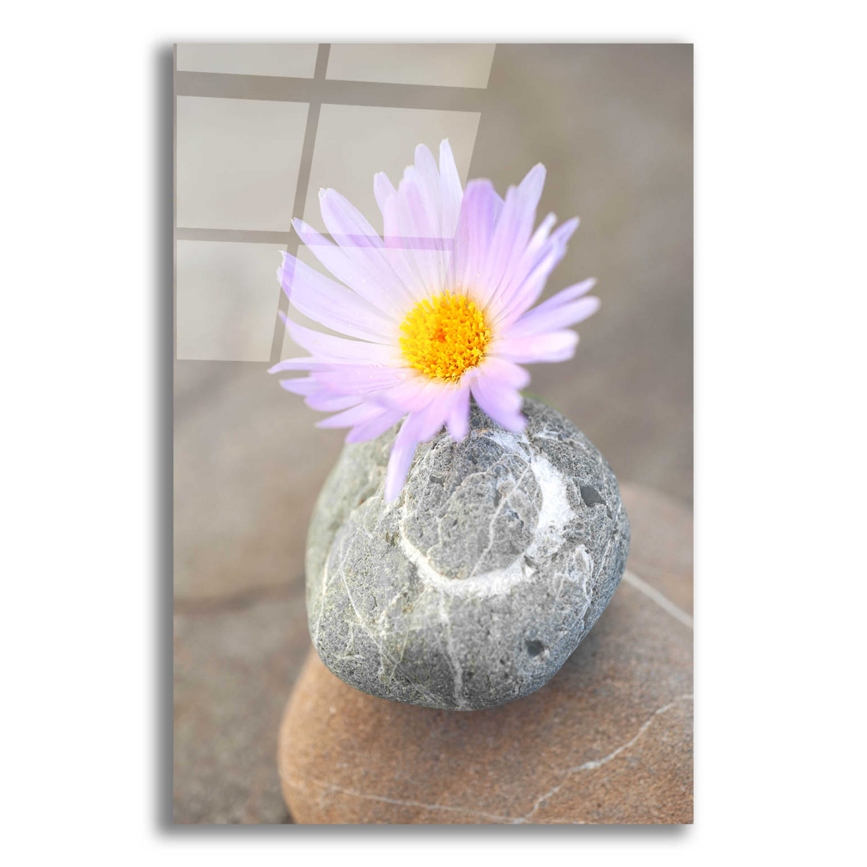 Latitude Run® Zen Flower Meditation by - Unframed Photograph | Wayfair