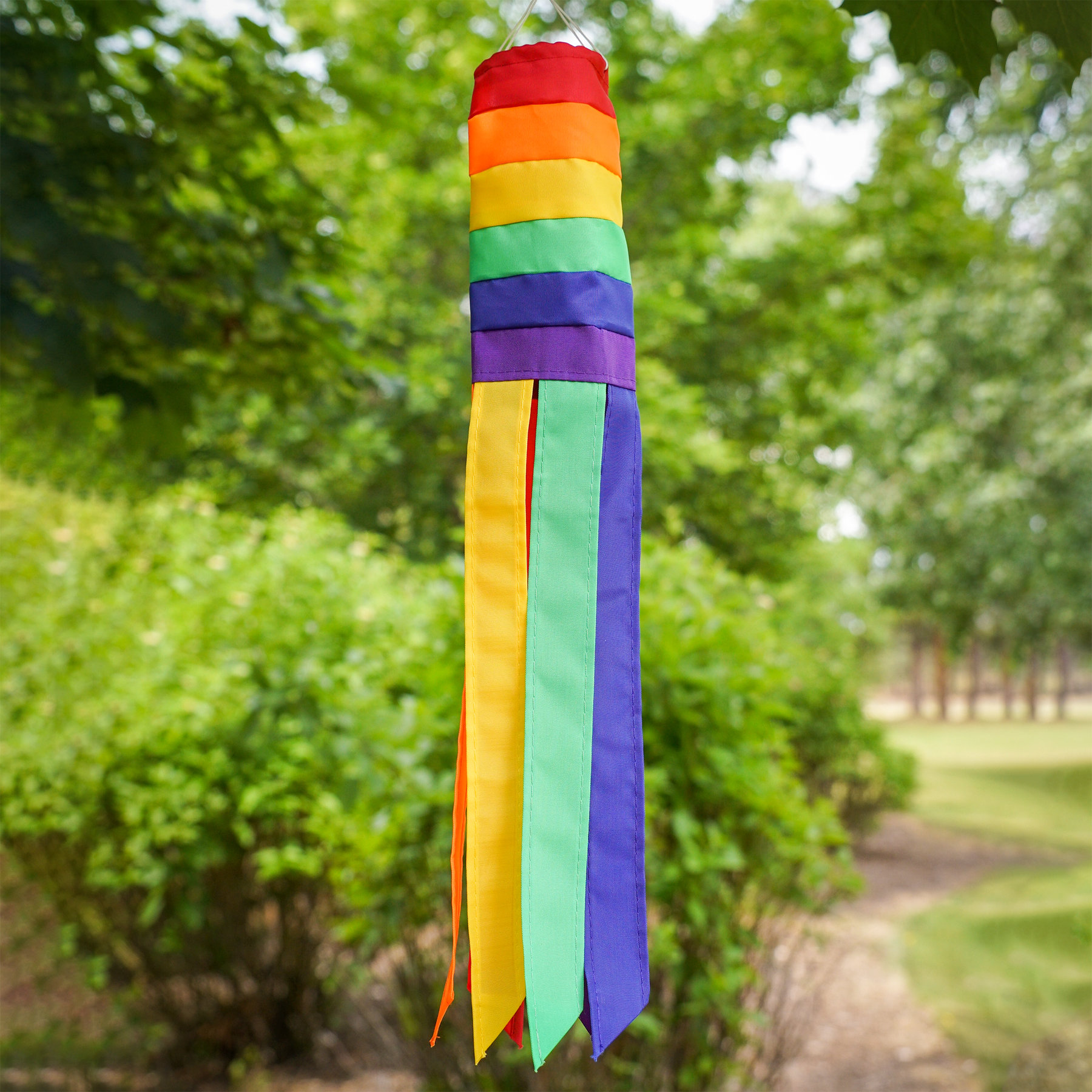 Arlmont & Co. Rainbow Column Windsock | Wayfair