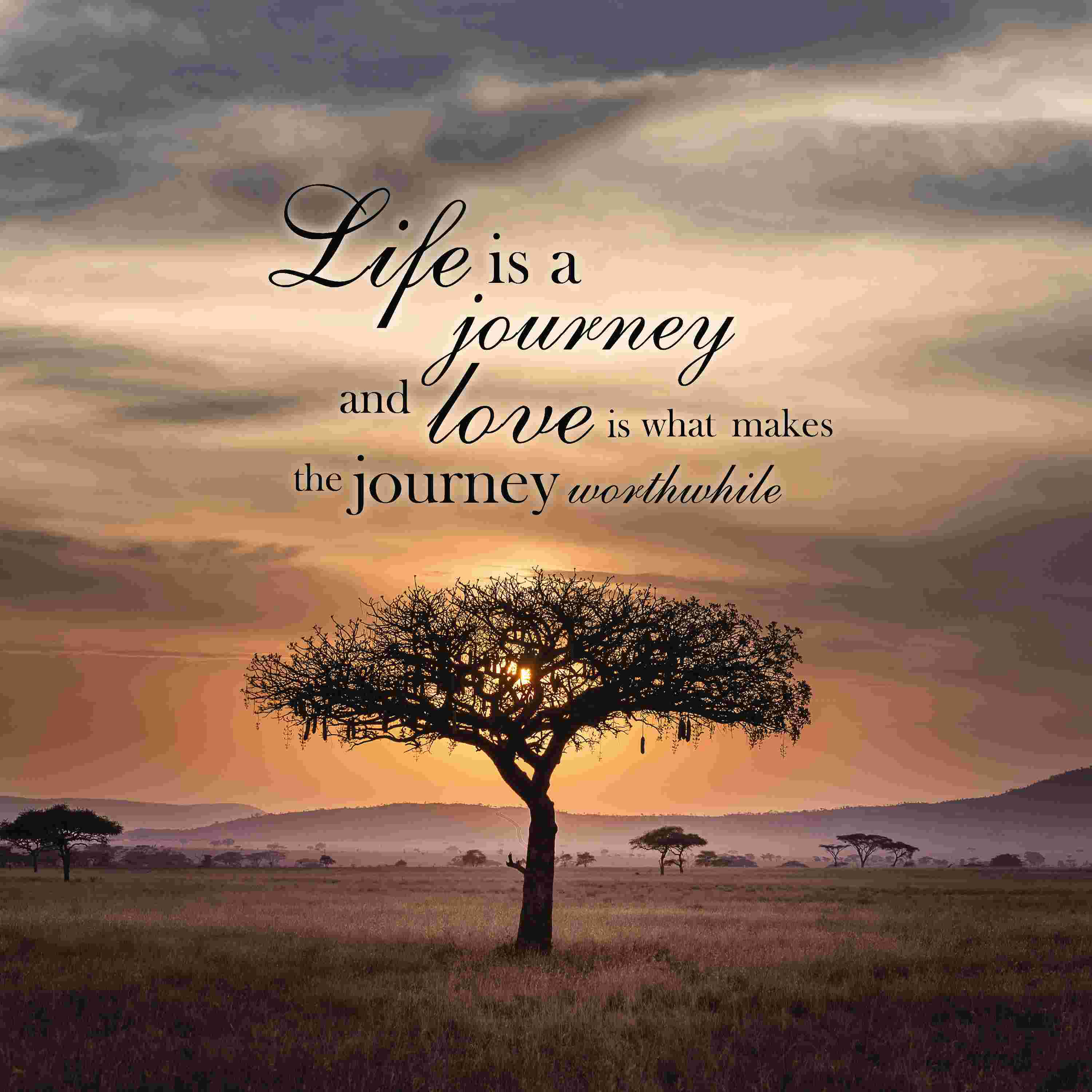 Trinx Love Journey Tree On Canvas Textual Art | Wayfair