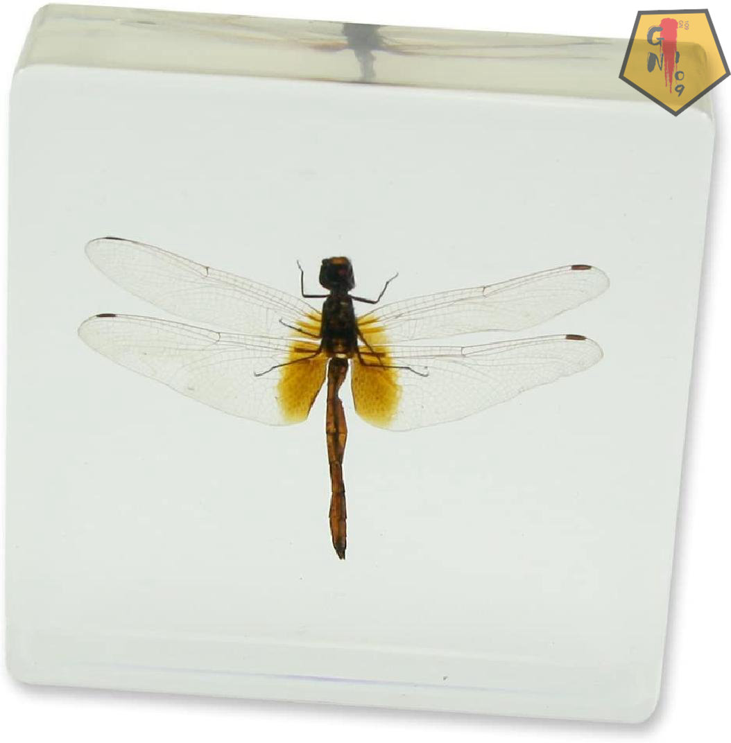 Latitude Run® Dragonfly Paper Weight | Wayfair