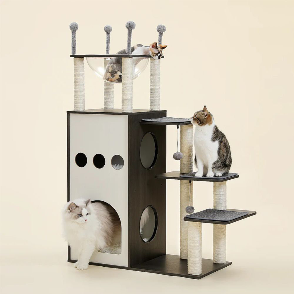 Schnappi 51" Wooden Luxury Cat Tree | Wayfair