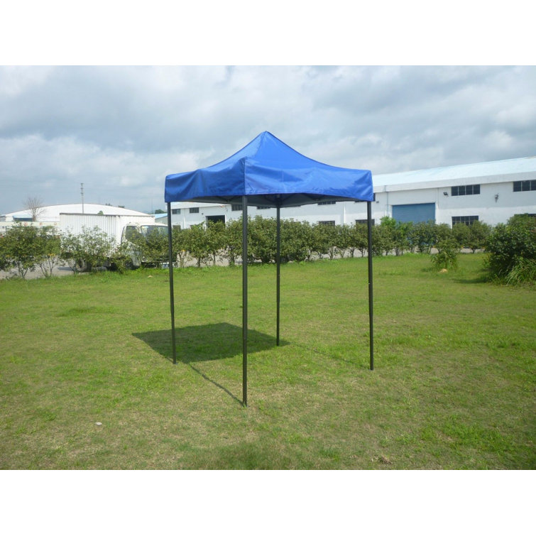 American Phoenix 5 Ft. W x 5 Ft. D Steel Pop-Up Canopy & Reviews | Wayfair