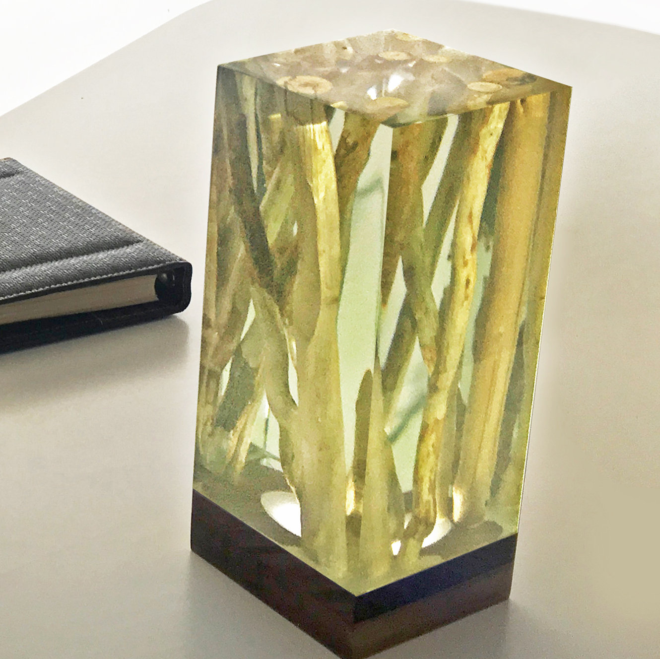 Arditi Collection Epoxy Lighting Sculpture | Wayfair