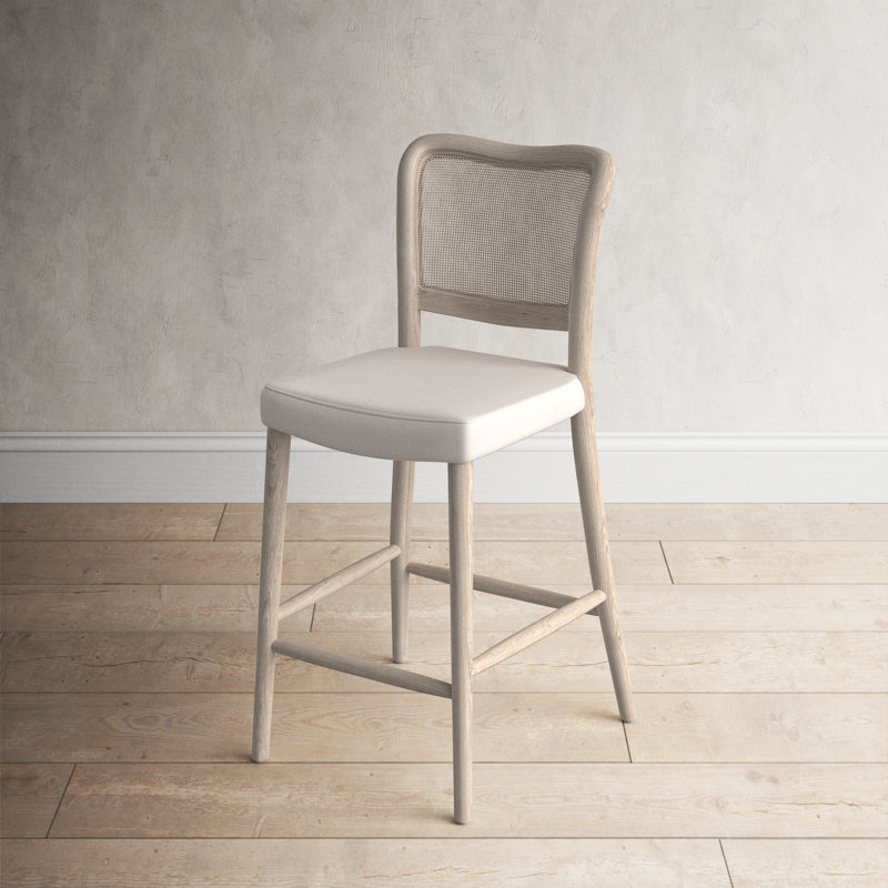 Birch Lane™ Tito 25'' Counter Stool | Wayfair