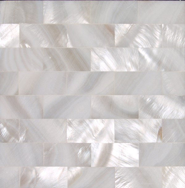 Matrix-Z SeaTile 4"x 4" Natural Shell Listello/Border Tile in White ...