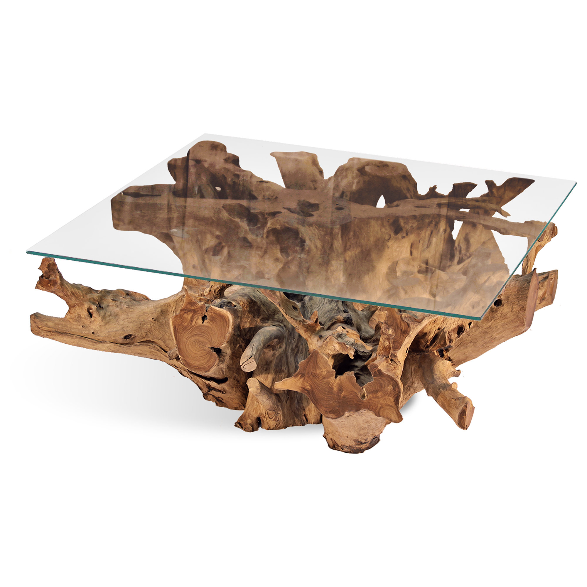 Ibolili Coffee Table & Reviews | Wayfair